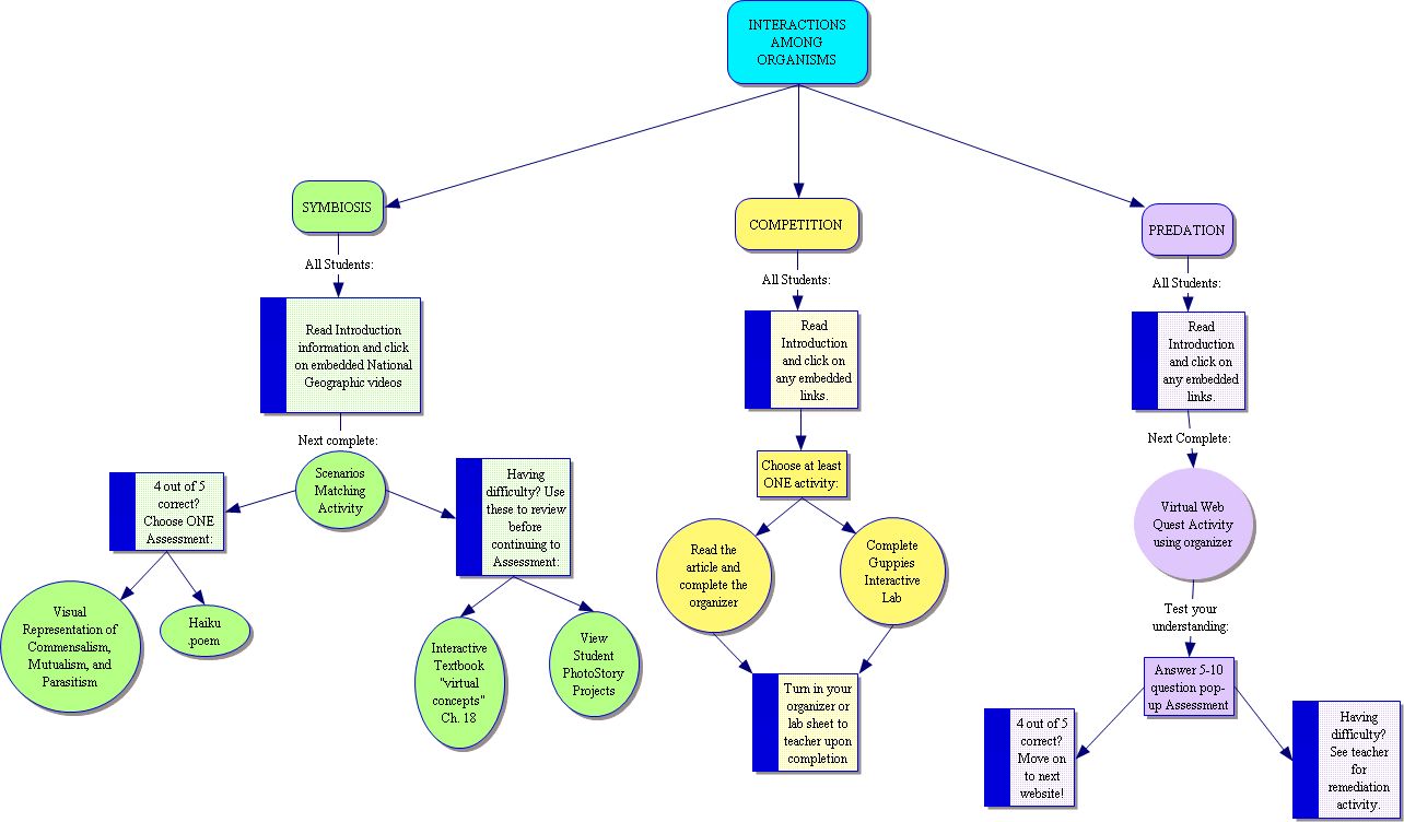 Rachel's MEDT7467 Course Home Page
